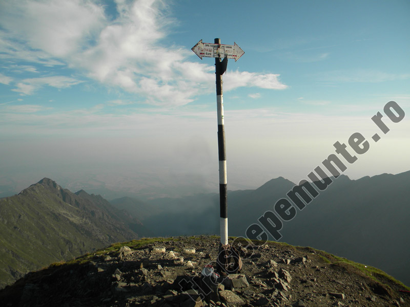 Varful-Vistea-Mare – TraseePeMunte.ro
