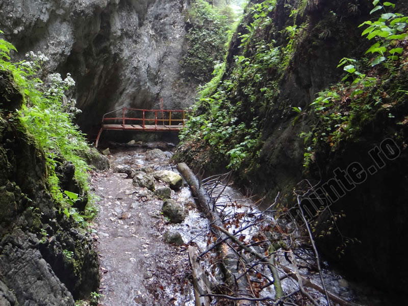 Traseu din Timisul de Jos spre Canionul Sapte Scari. Muntii Piatra Mare ...