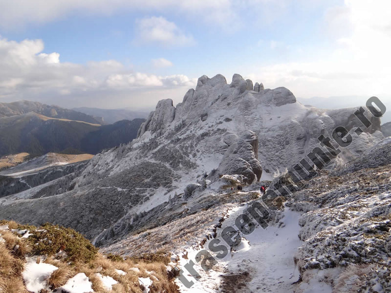 Traseu spre Varful Ciucas prin Saua Tigailor, din Pasul Bratocea. Muntii Ciucas – TraseePeMunte.ro