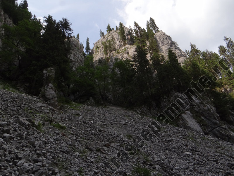 Muntii Apuseni – TraseePeMunte.ro