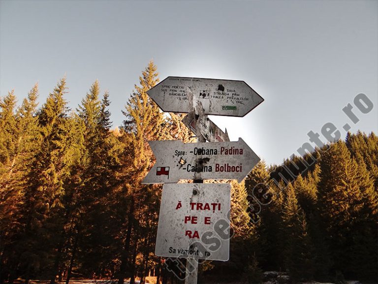 Traseu spre Varful Bucsa și Saua Strunga, din Valea Bangaleasa. Muntii ...