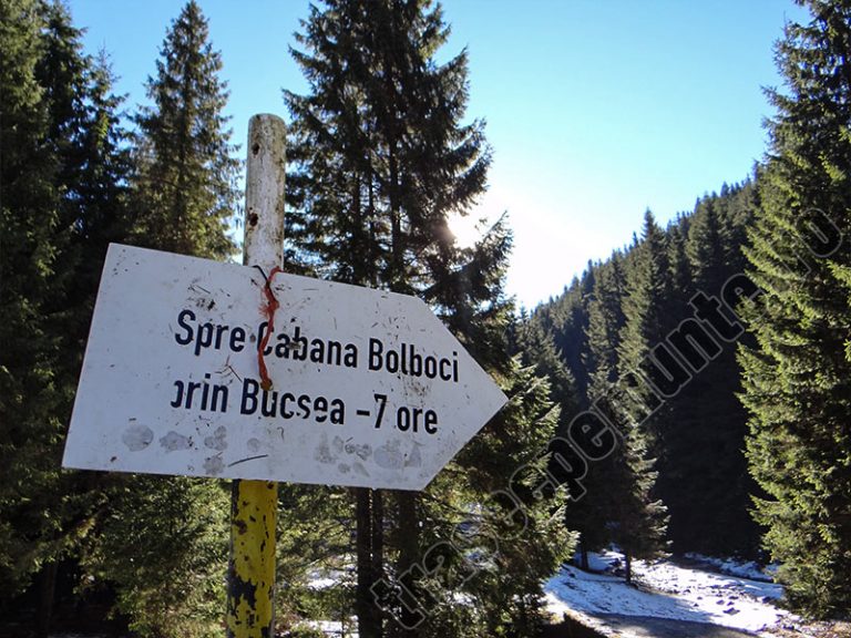 Traseu spre Varful Bucsa și Saua Strunga, din Valea Bangaleasa. Muntii ...