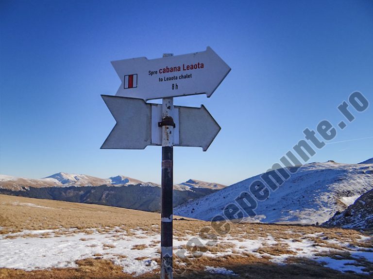 Traseu spre Varful Bucsa și Saua Strunga, din Valea Bangaleasa. Muntii ...