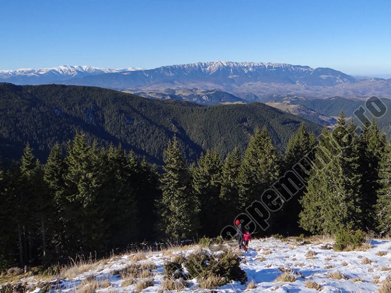Traseu spre Varful Bucsa și Saua Strunga, din Valea Bangaleasa. Muntii ...