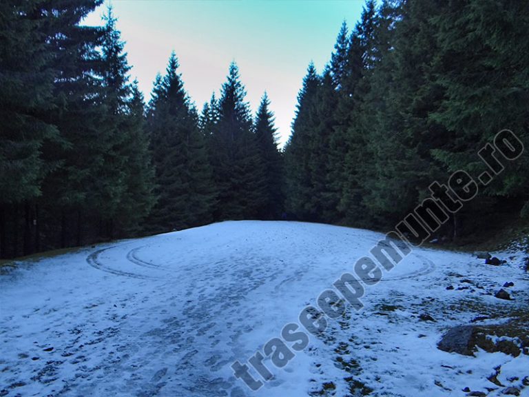 Traseu spre Varful Bucsa și Saua Strunga, din Valea Bangaleasa. Muntii ...