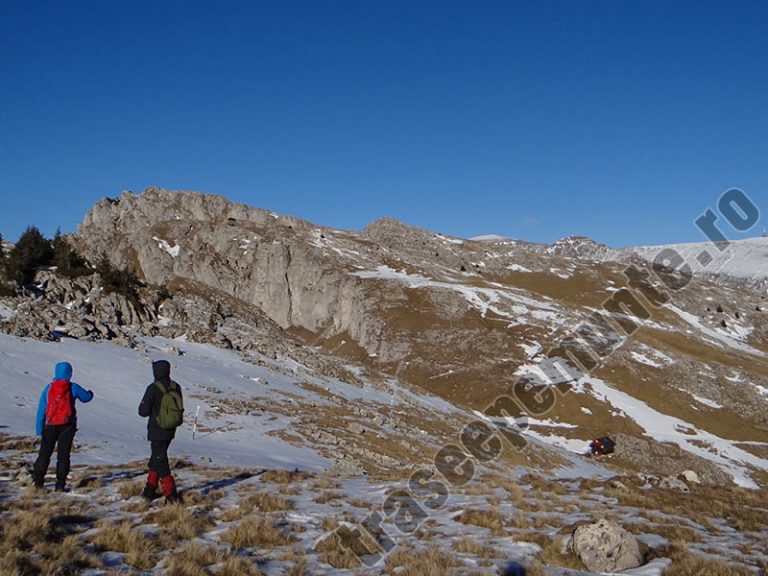 Traseu spre Varful Bucsa și Saua Strunga, din Valea Bangaleasa. Muntii ...