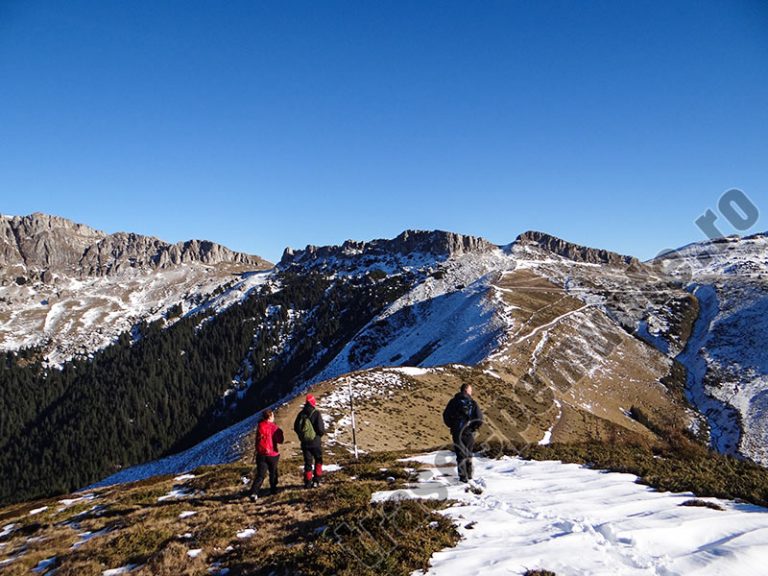 Traseu spre Varful Bucsa și Saua Strunga, din Valea Bangaleasa. Muntii ...