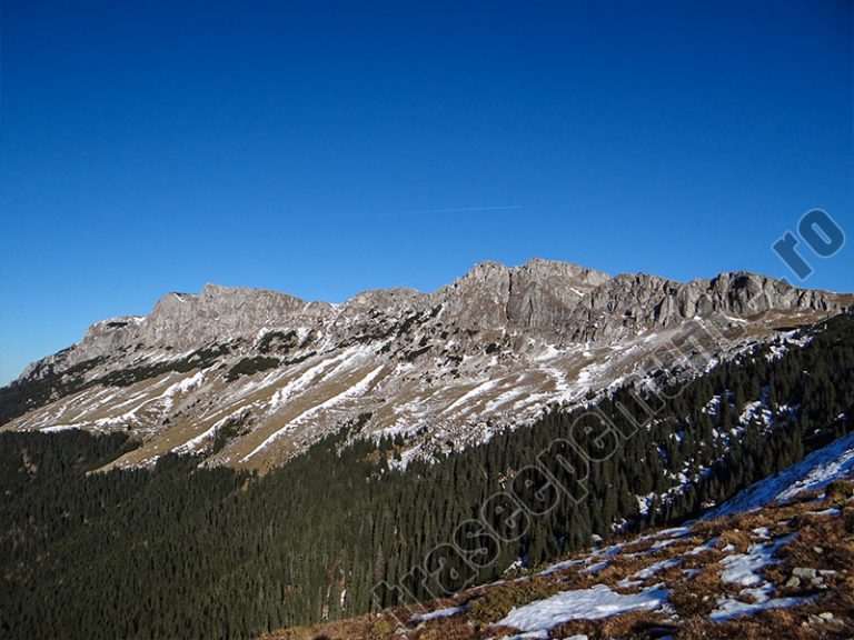 Traseu spre Varful Bucsa și Saua Strunga, din Valea Bangaleasa. Muntii ...