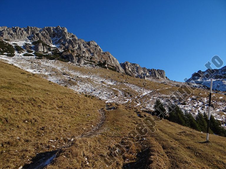 Traseu spre Varful Bucsa și Saua Strunga, din Valea Bangaleasa. Muntii ...