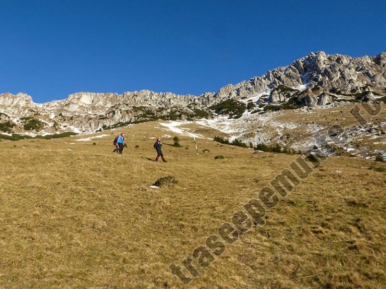 Traseu spre Varful Bucsa și Saua Strunga, din Valea Bangaleasa. Muntii ...