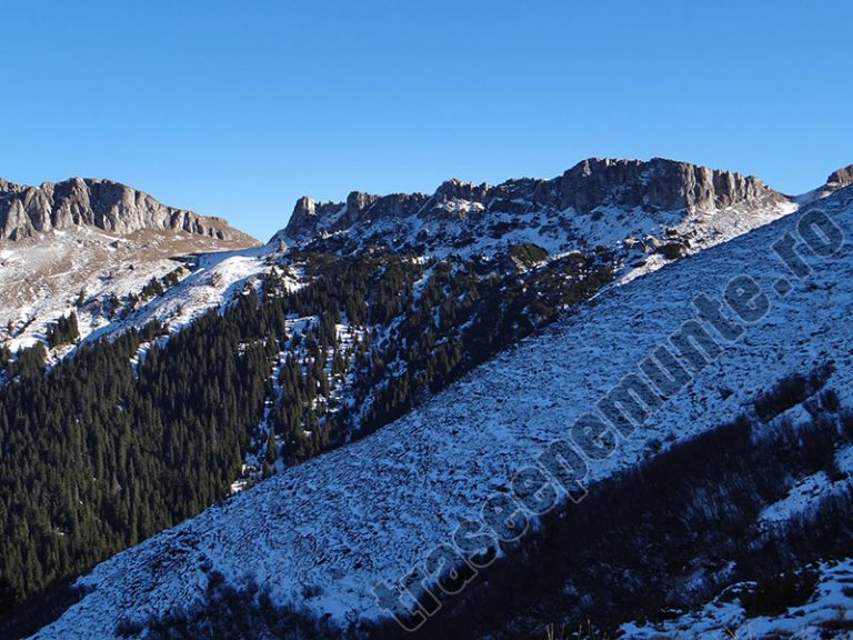 Traseu spre Varful Bucsa și Saua Strunga, din Valea Bangaleasa. Muntii ...