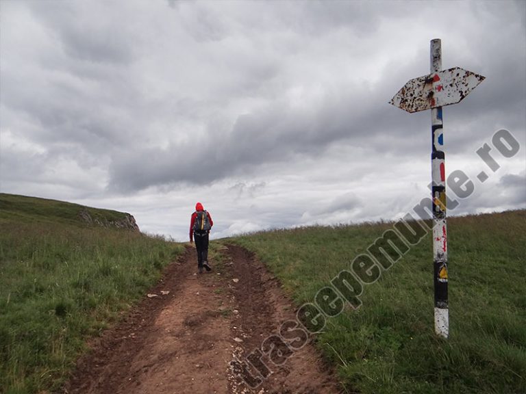 Traseu spre Pietrele Doamnei și Varful Rarau, de la Hotel Rarau. Muntii ...