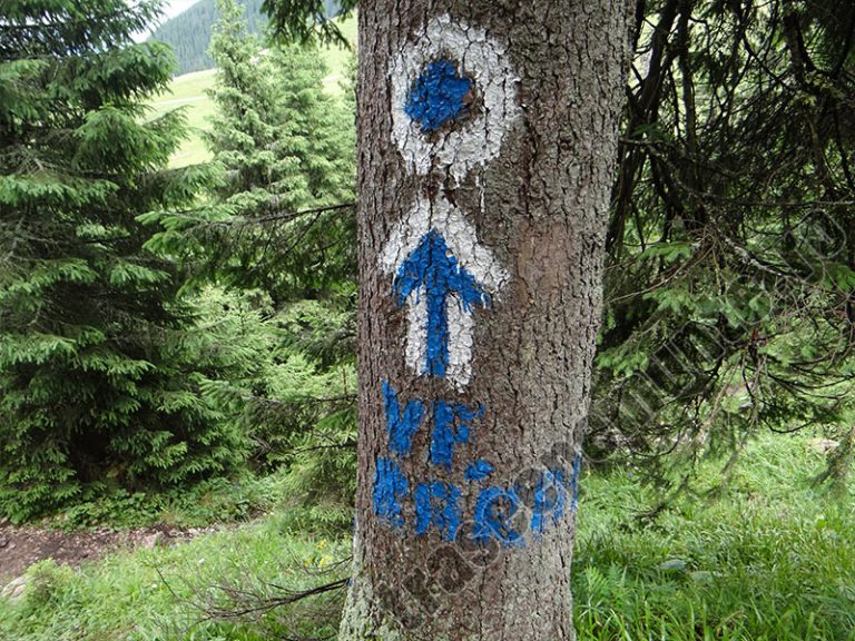 Traseu spre Pietrele Doamnei și Varful Rarau, de la Hotel Rarau. Muntii ...