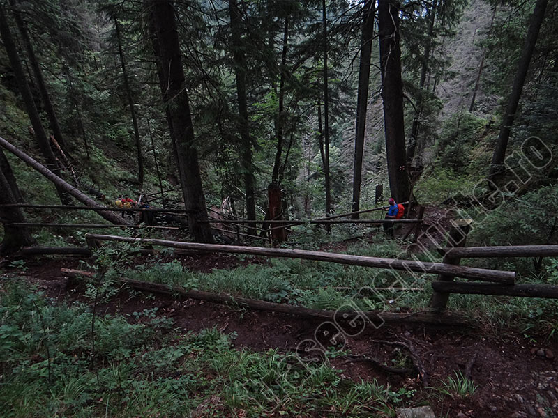 Traseu spre Cabana Dochia si Cascada Duruitoarea, din statiunea Durau ...